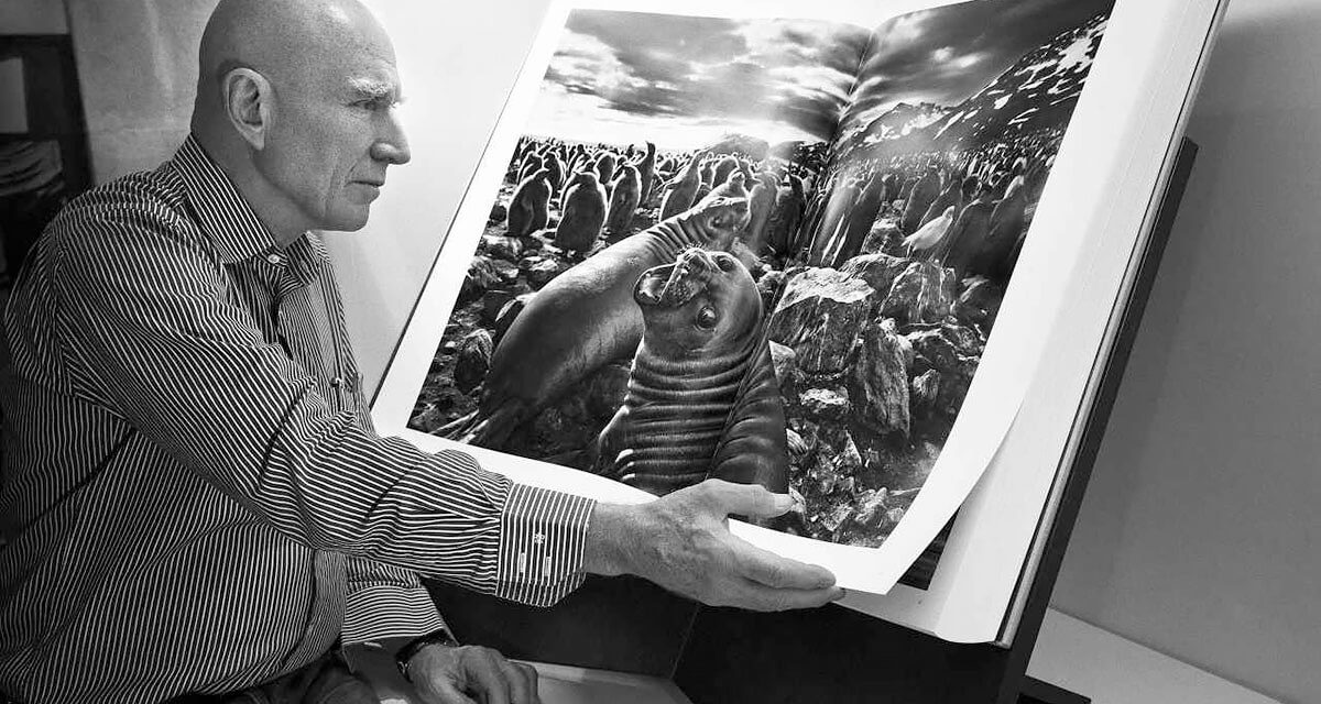 La Sal de la Tierra: Los Proyectos Según Sebastião Salgado | ISO1200 ...
